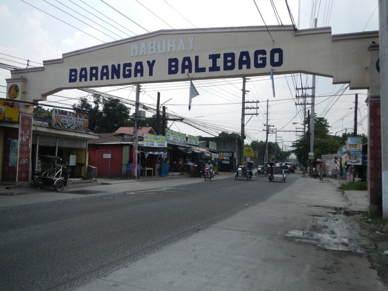 PITX to Balibago | Bus Schedules | Online Booking
